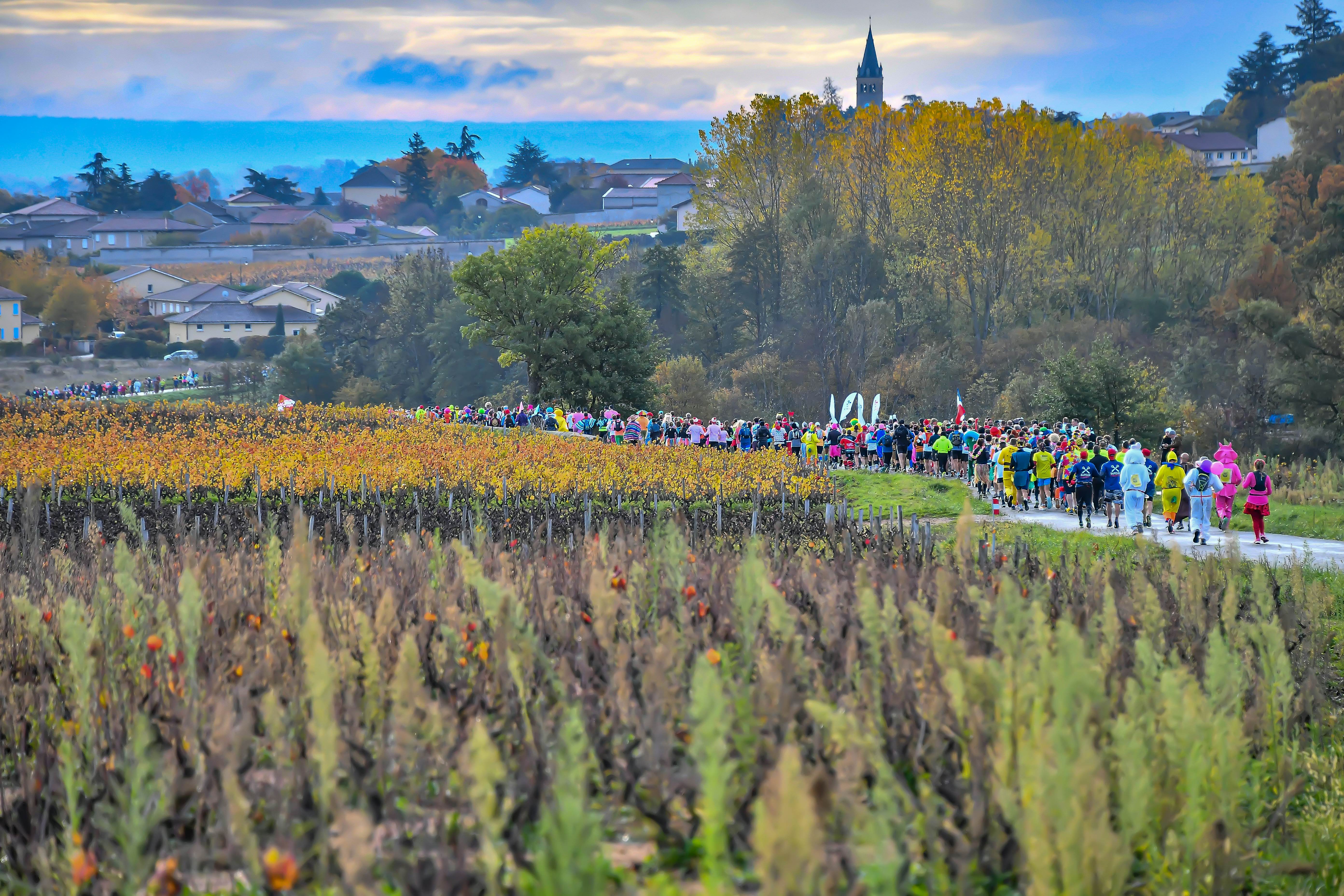 Skip Marathon du Médoc and join Marathon du Beaujolais - Lonely Planet