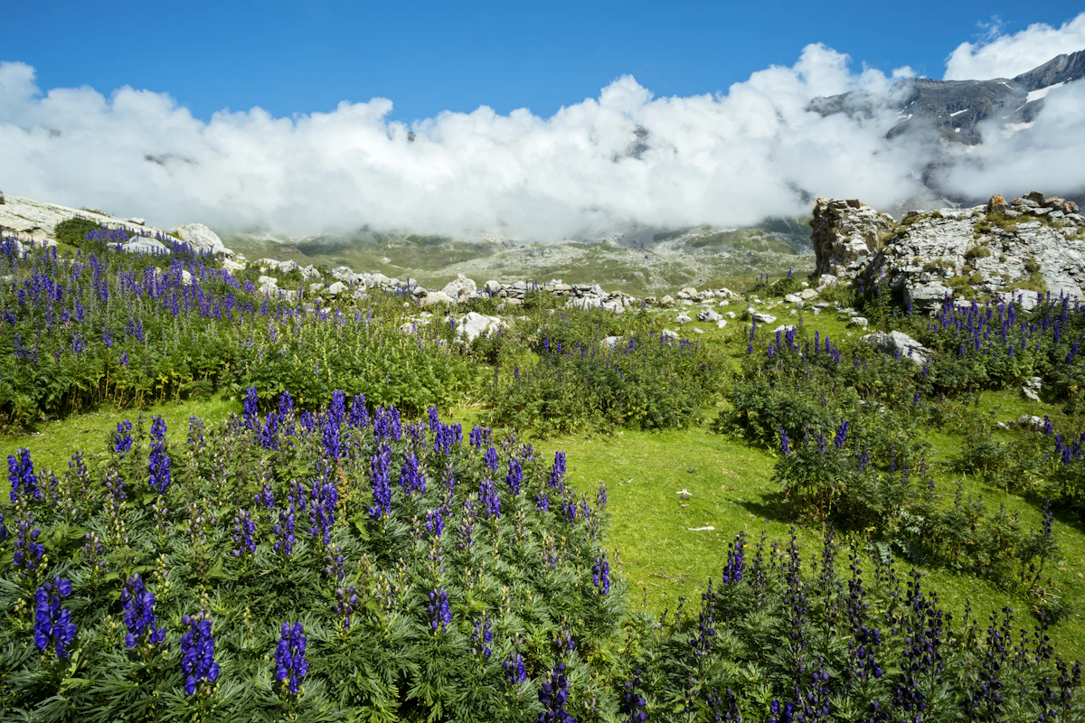 The best 7 hikes to do in the French Pyrenees - Lonely Planet