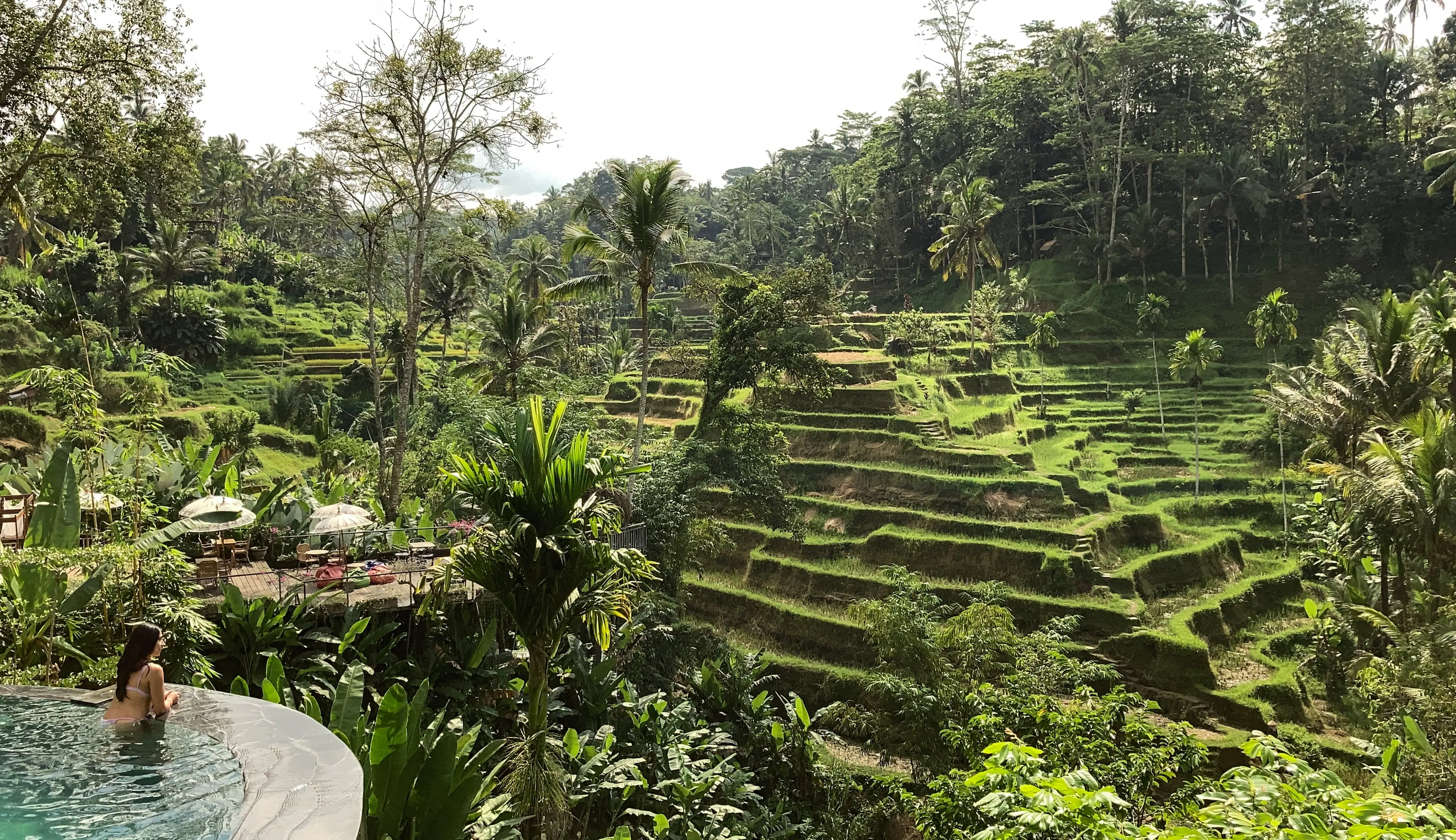 Should you visit Phuket or Bali? - Lonely Planet