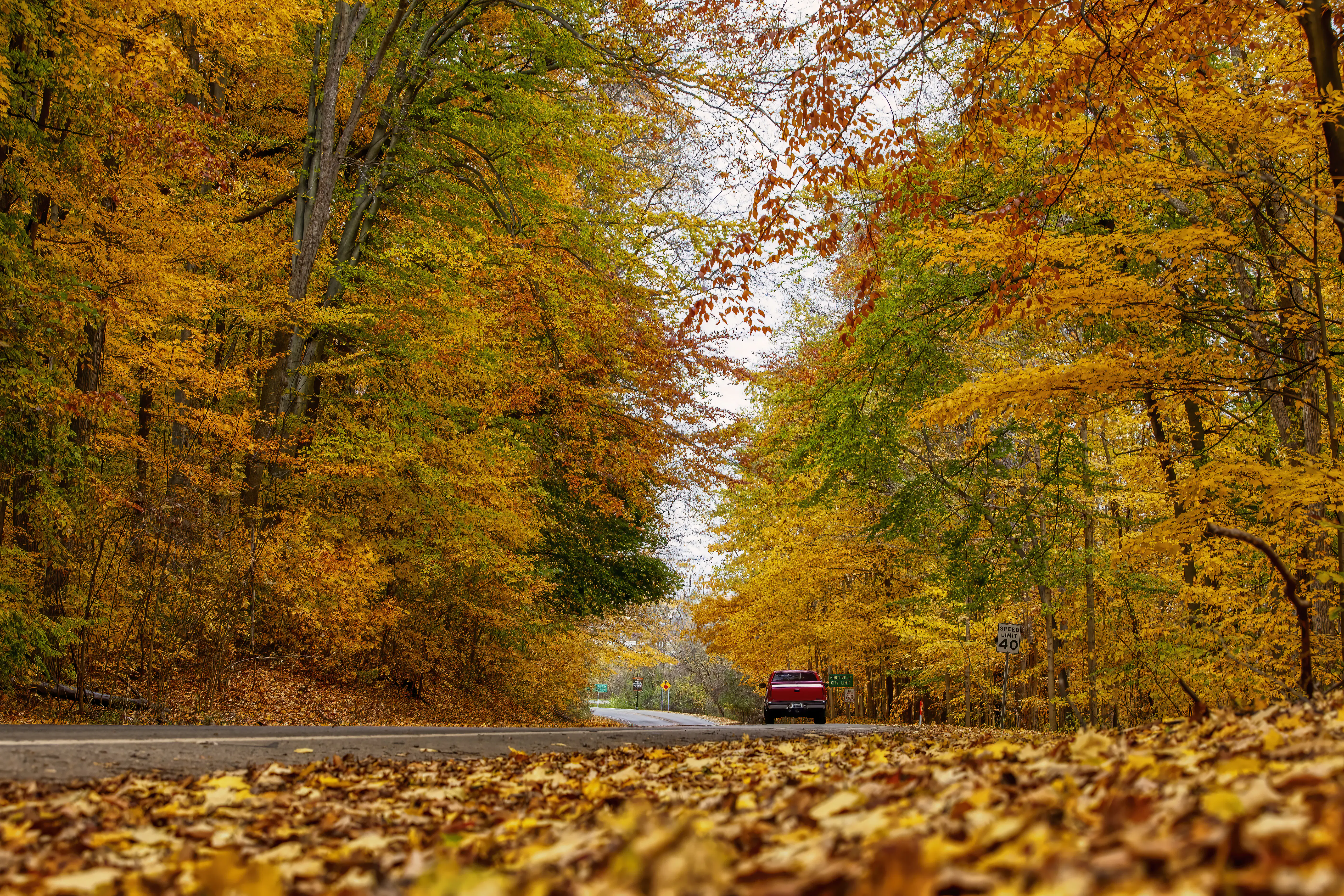 Michigan on a budget - Lonely Planet