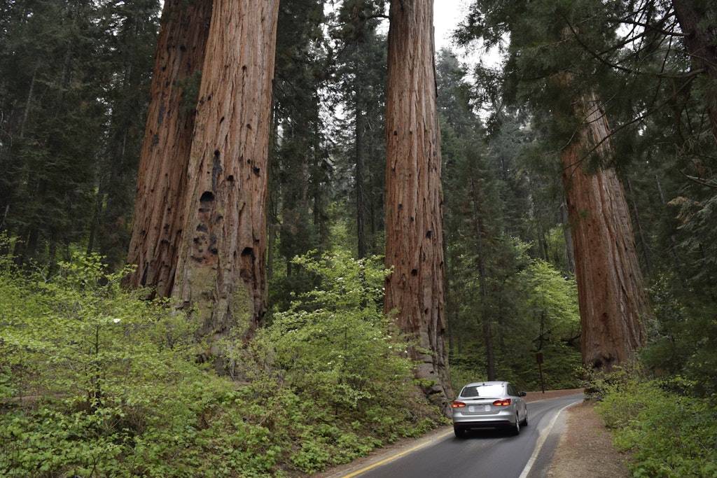 The 6 best road trip destinations in the world - Lonely Planet