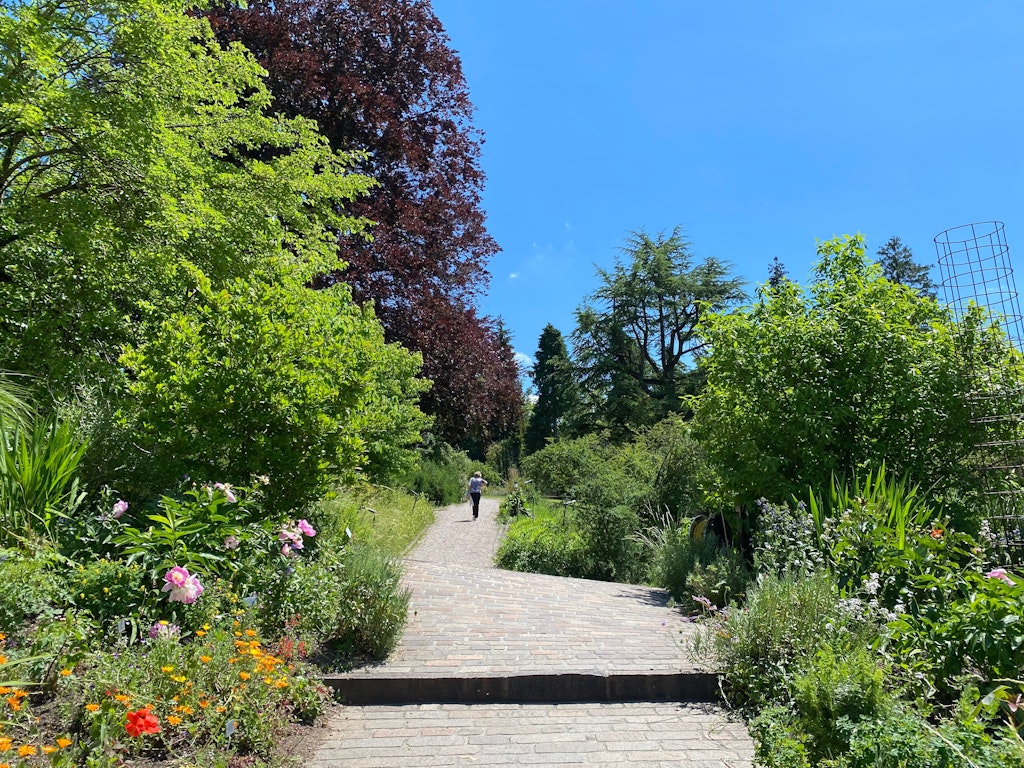 13 of the best things to do in Zürich for free - Lonely Planet