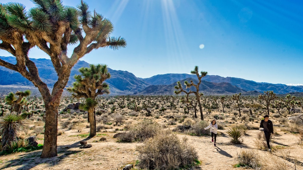 The Mixtape California: the ultimate family road trip guide - Lonely Planet