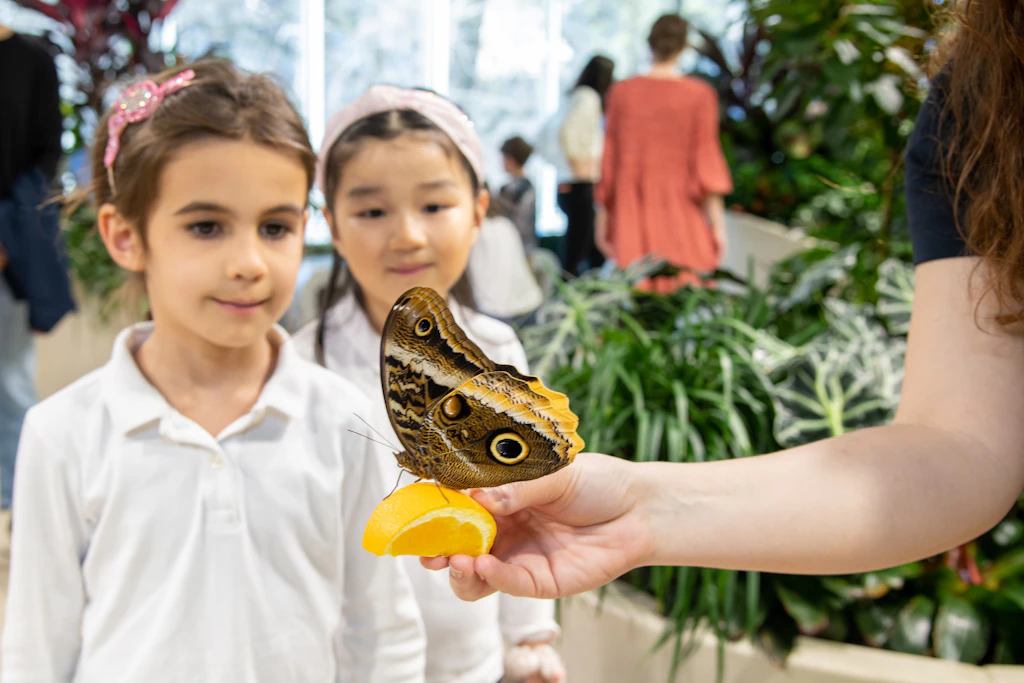 New York City with kids - Lonely Planet