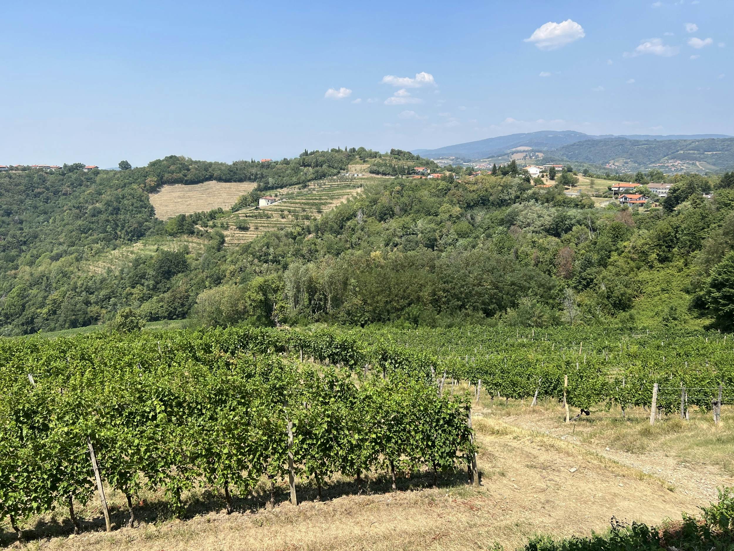 A week in Friuli Venezia Giulia, Italy’s mosaic - Lonely Planet