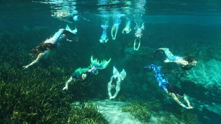 Get into: mermaiding in Florida… how to swim with the fishes and live ...