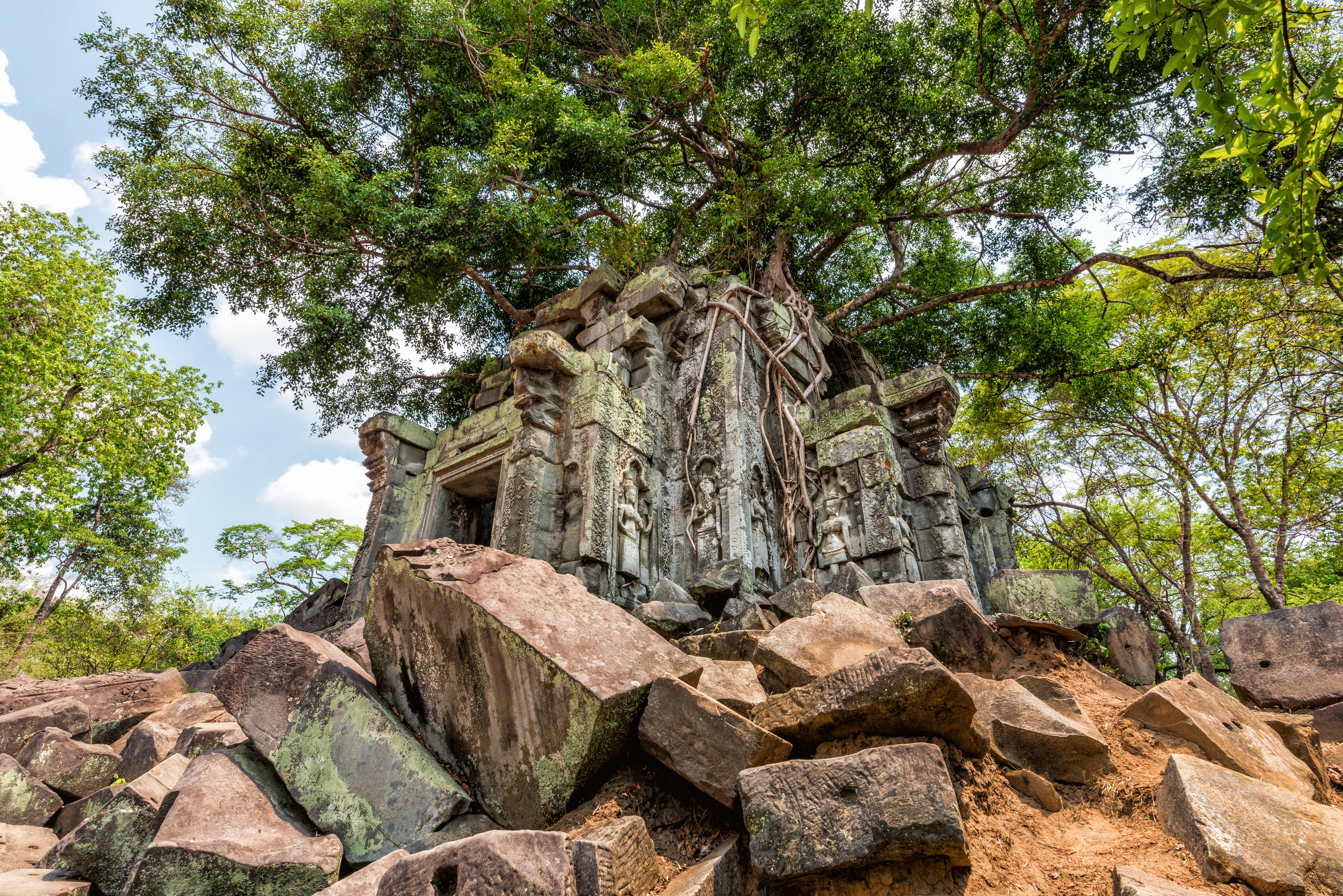 Ta Prohm | Temples of Angkor, Cambodia | Attractions - Lonely Planet