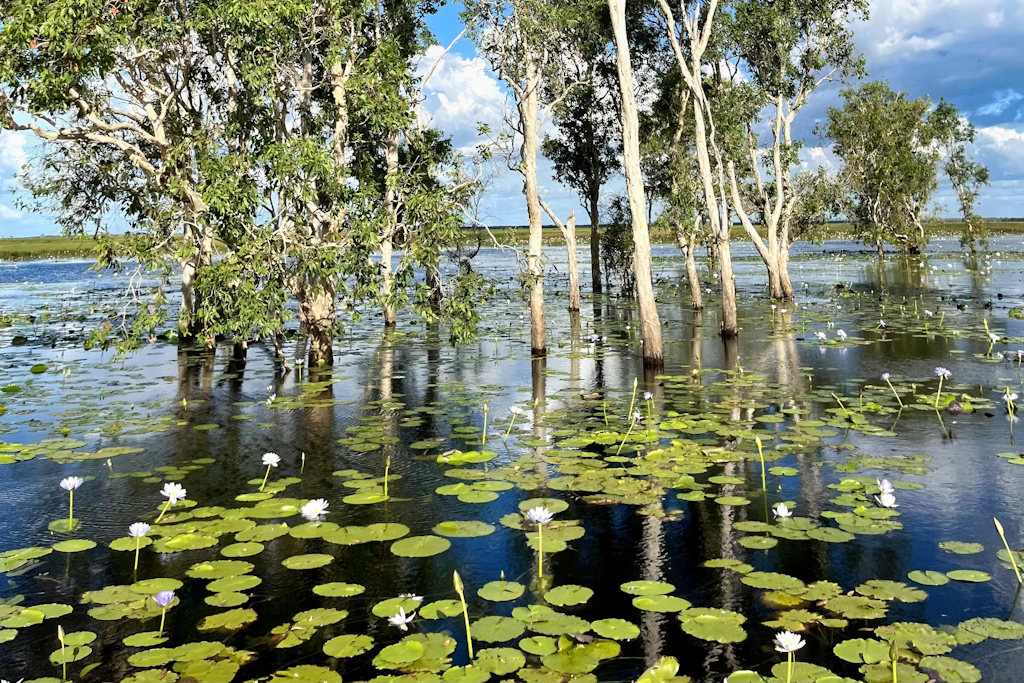 Copy My Trip: A week in Australia's Top End - Lonely Planet