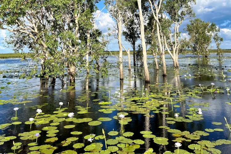 Copy My Trip: A week in Australia's Top End - Lonely Planet
