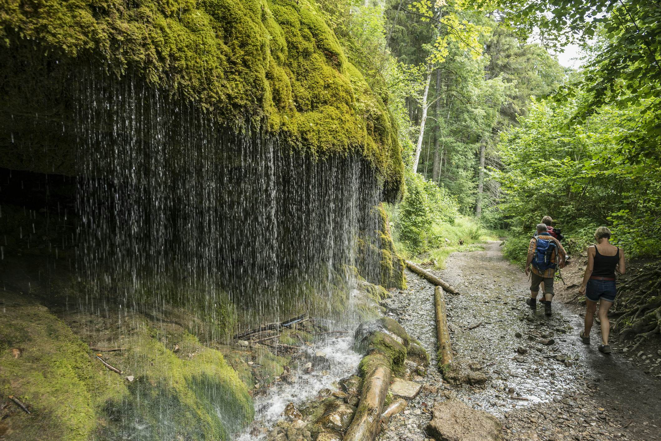 6 best hikes in Germany - Lonely Planet