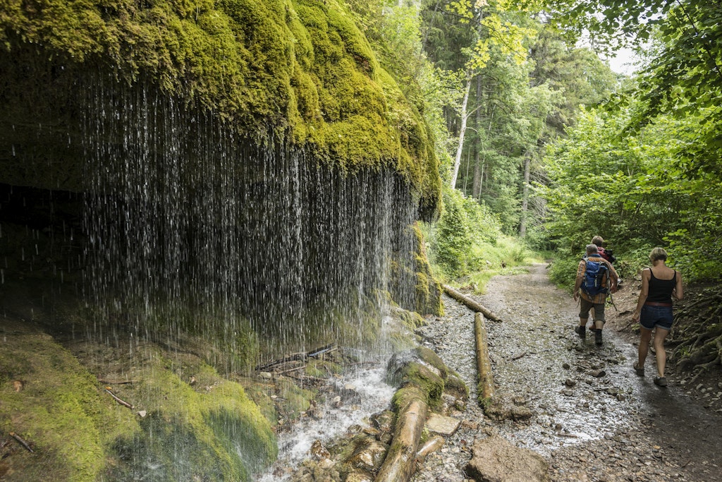 6 best hikes in Germany - Lonely Planet