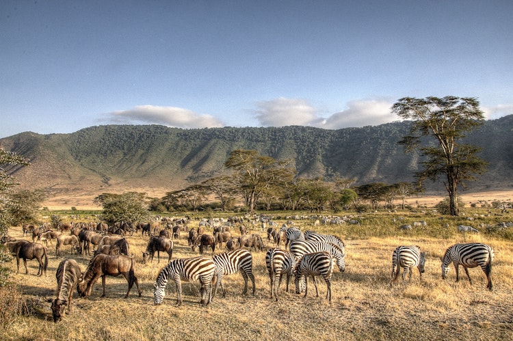 The 13 best places to visit in Tanzania - Lonely Planet