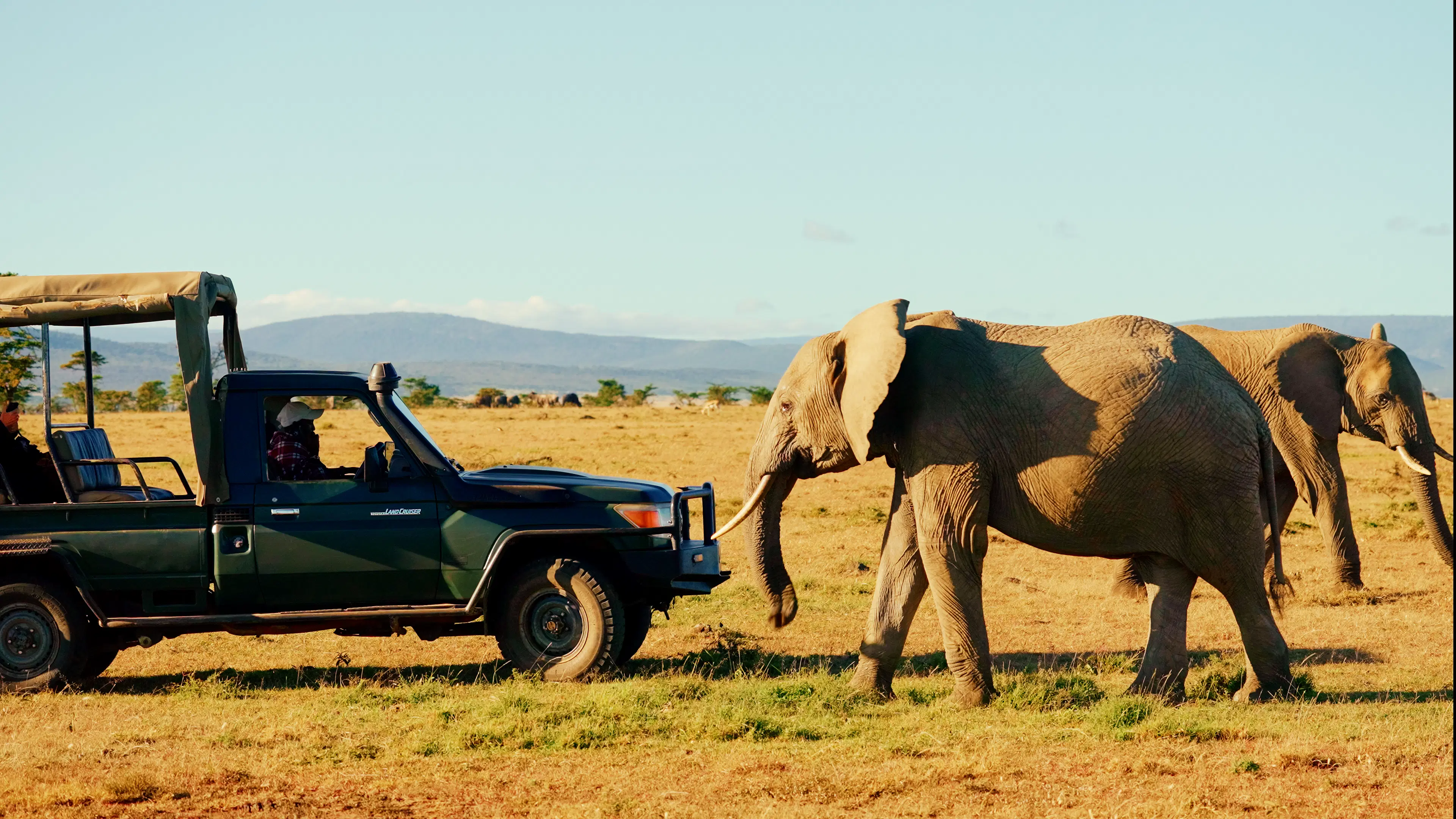 Copy My Trip: a safari in Kenya - Lonely Planet
