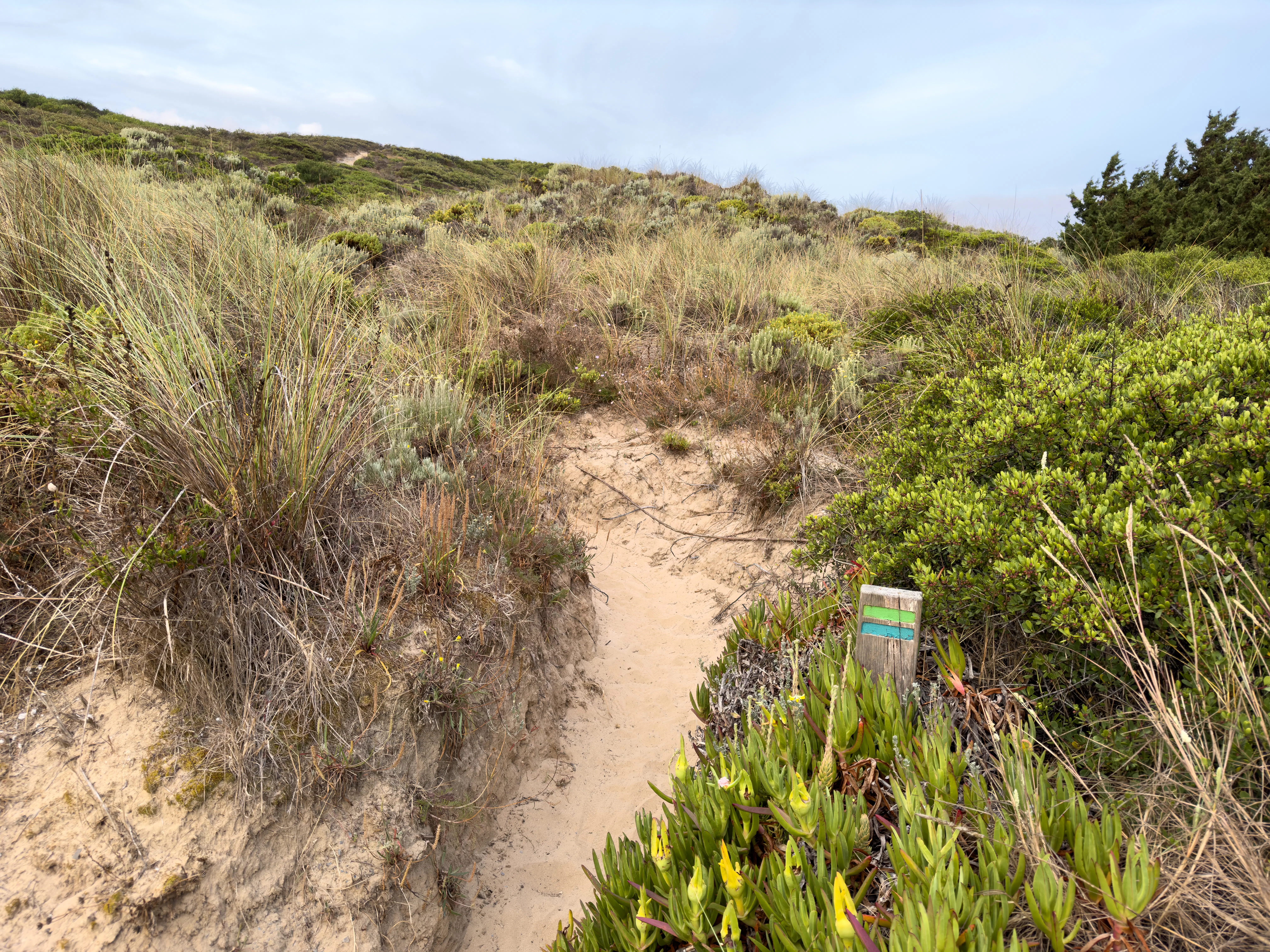 Hiking the Fishermen’s Trail in Portugal - Lonely Planet