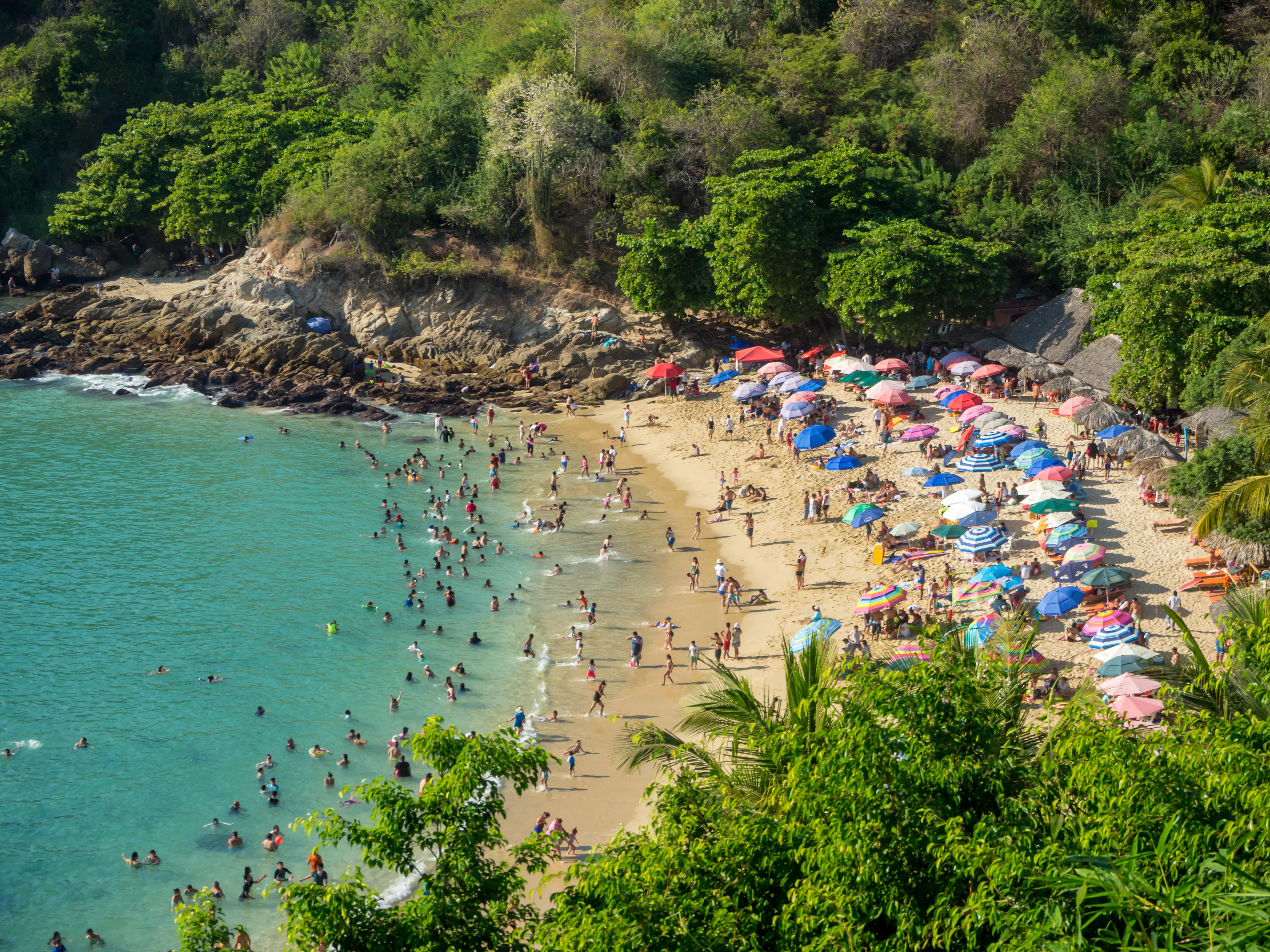 A guide to sargassum in the Caribbean - Lonely Planet