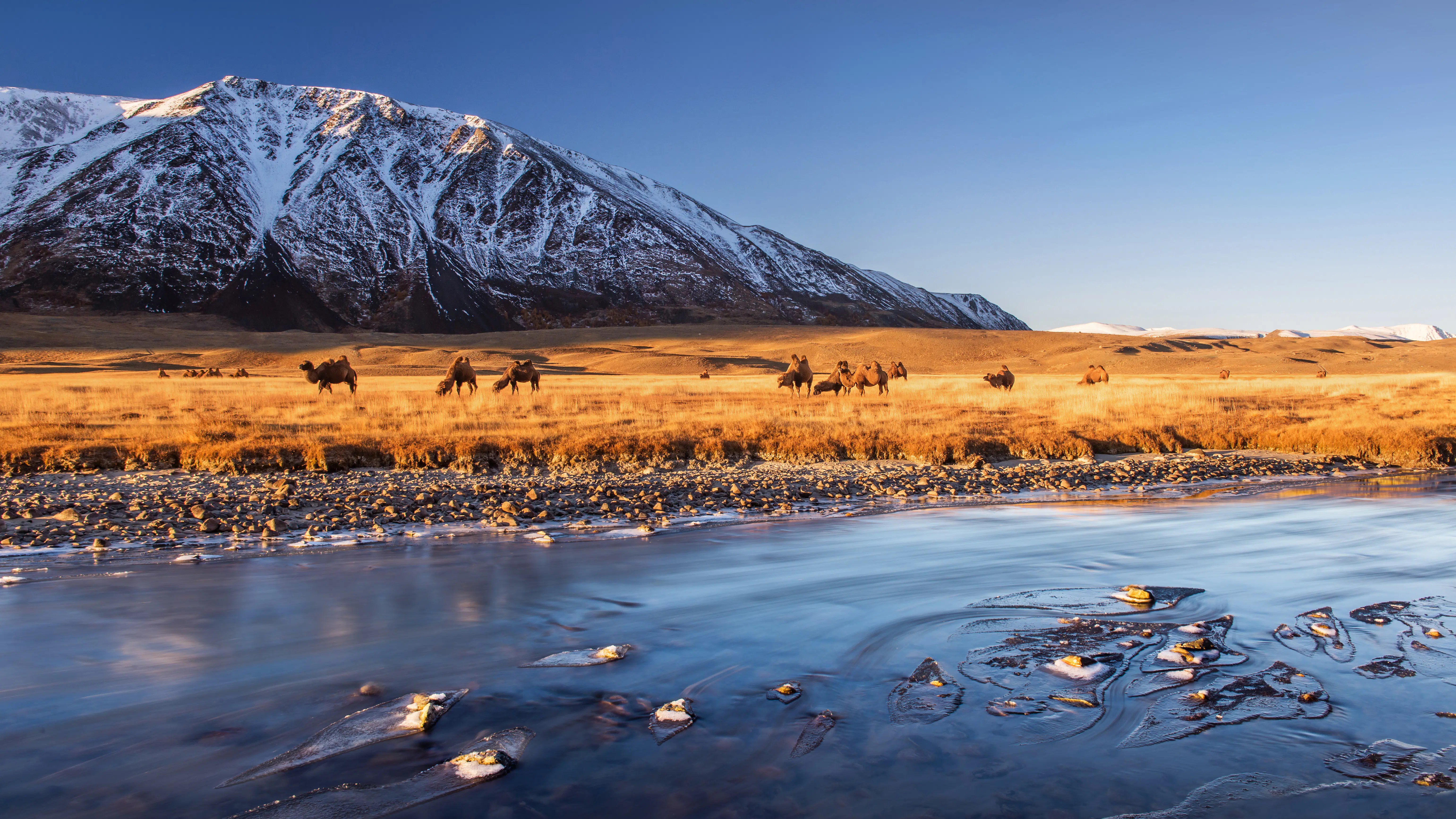 17 things to know before traveling to Mongolia - Lonely Planet