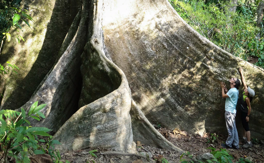 Malaysia’s geography is tailor-made for epic outdoor adventures ...