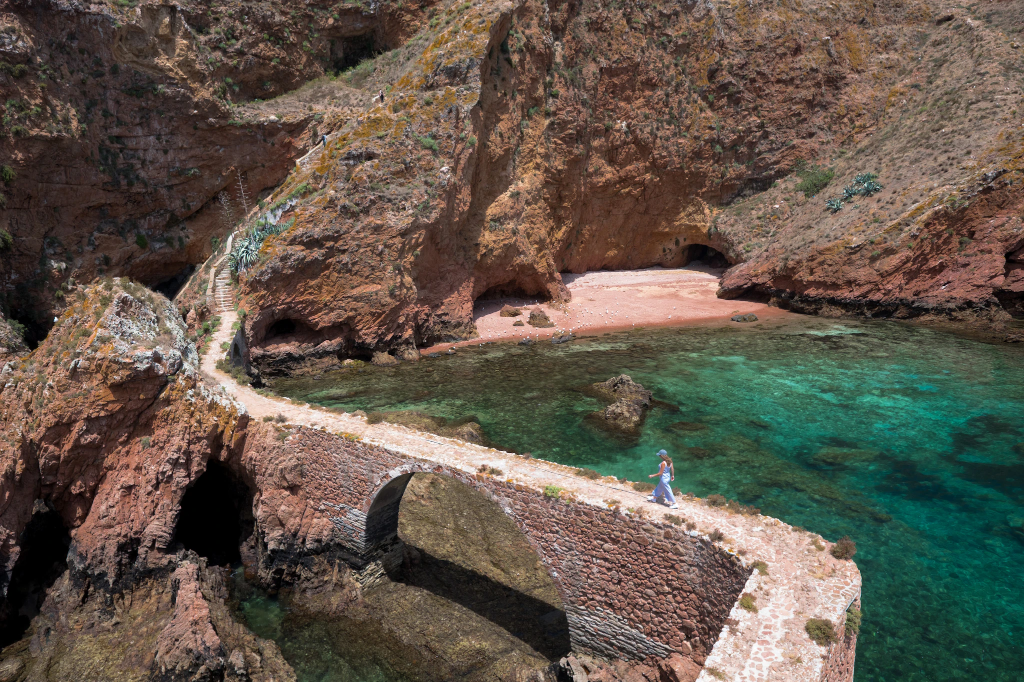Best things to do on the Berlengas Islands, Portugal - Lonely Planet
