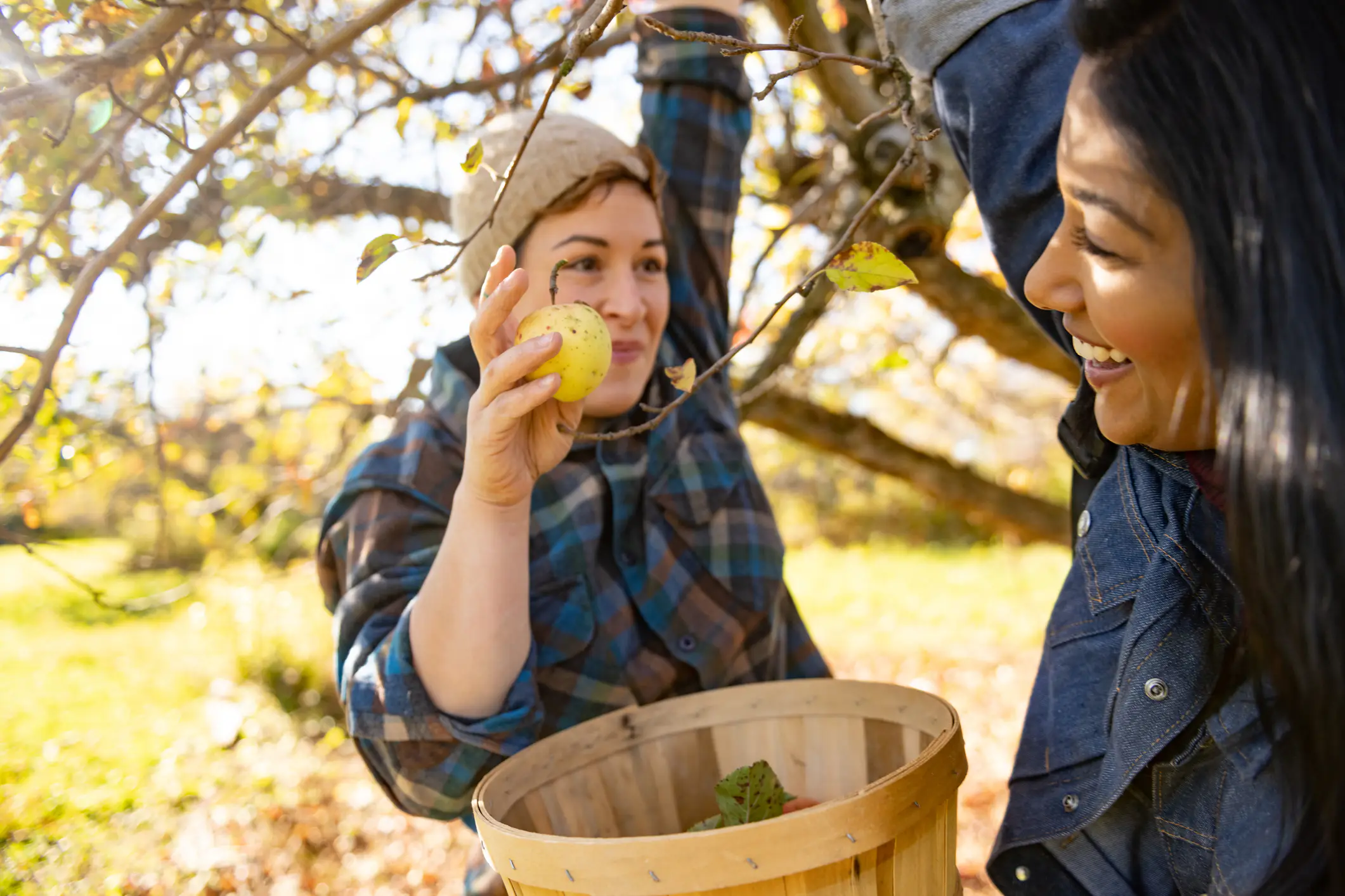 12 things locals know about visiting New York State - Lonely Planet