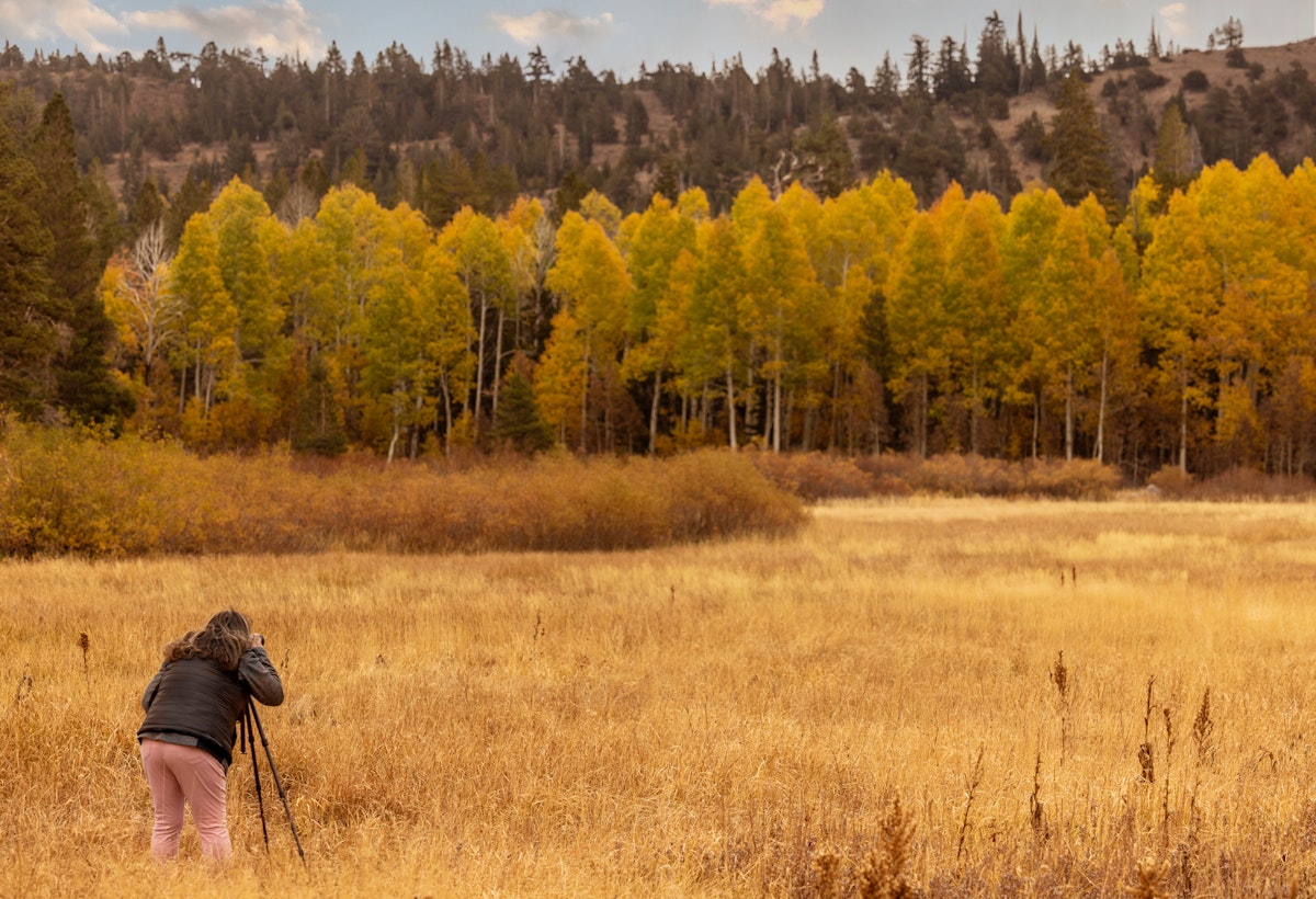 Best places to see fall foliage in the US in 2025 - Lonely Planet