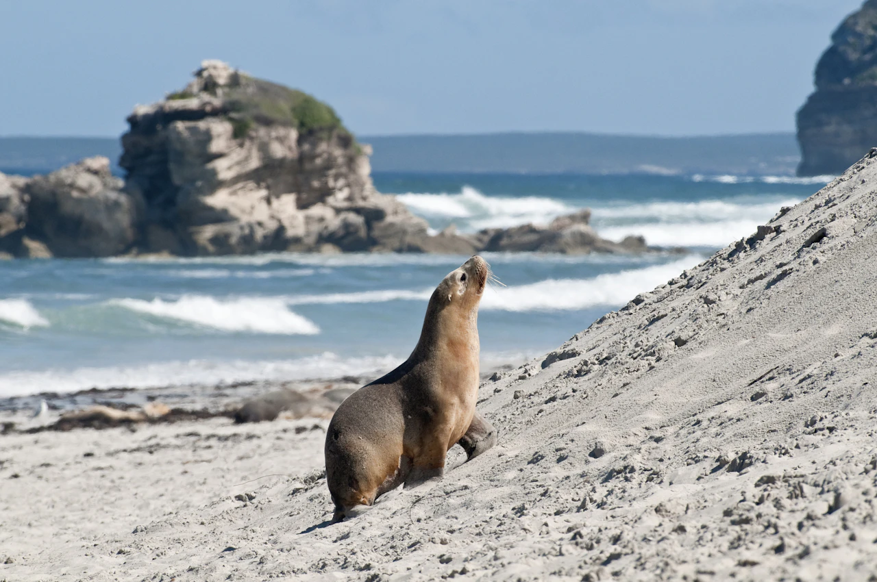 The 10 best island destinations in Australia - Lonely Planet