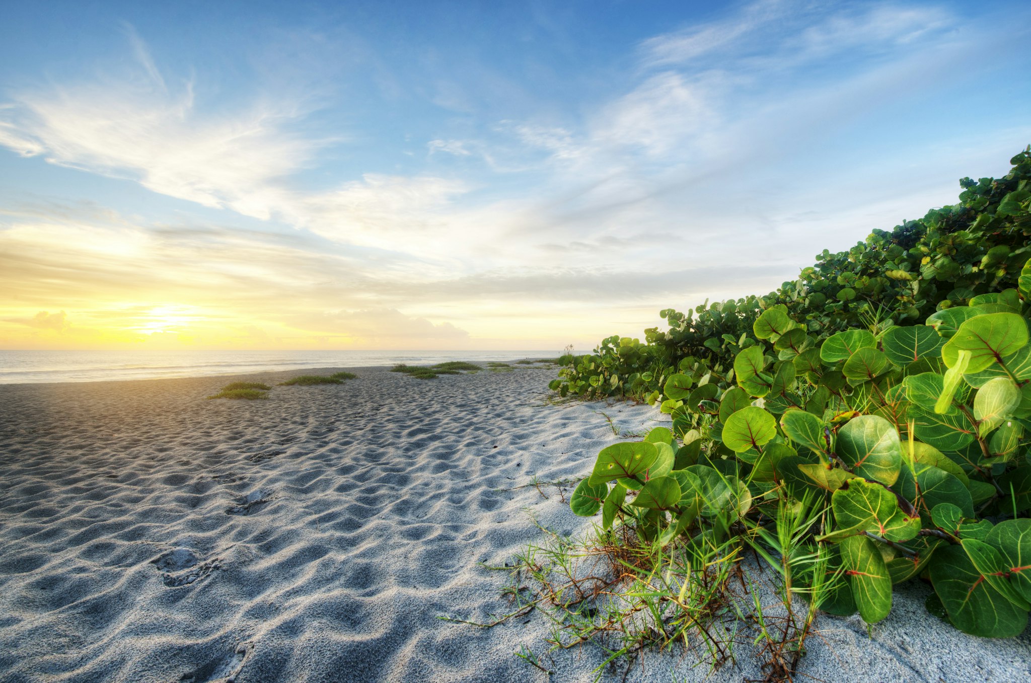 15 of the best beaches in Florida - Lonely Planet