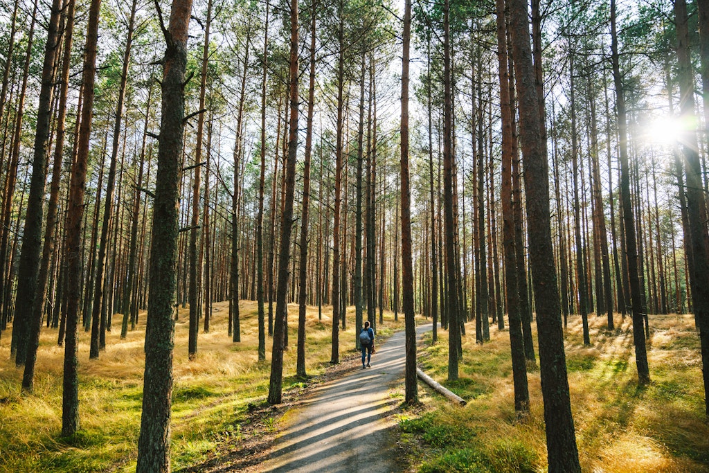 How to hike the Baltic Trails - Lonely Planet