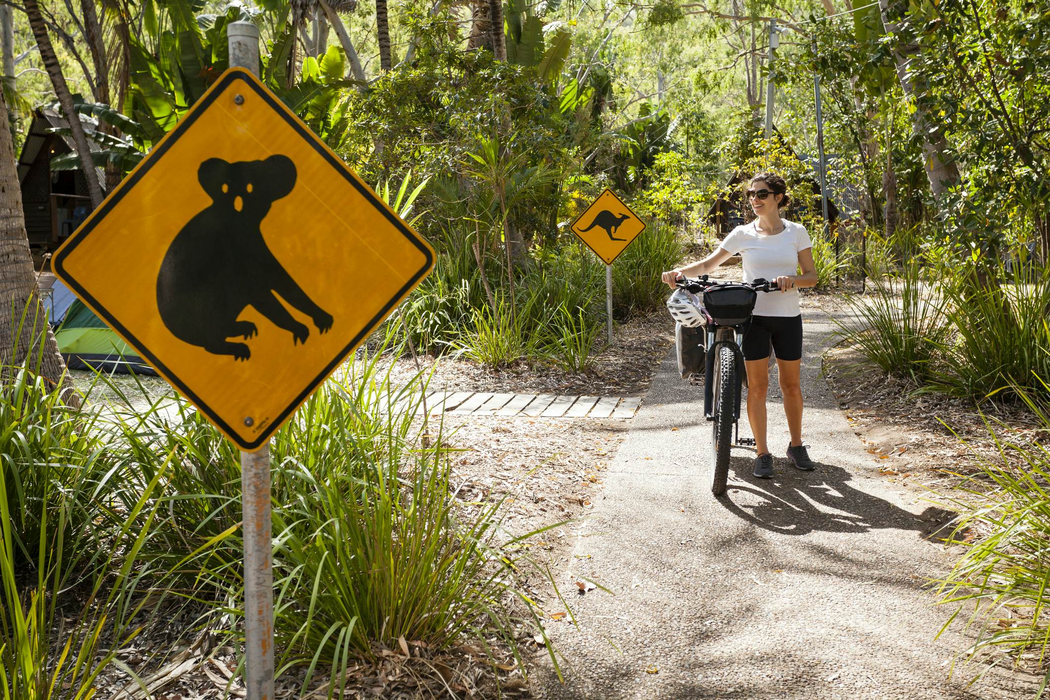 16 things to know before your trip to Australia - Lonely Planet