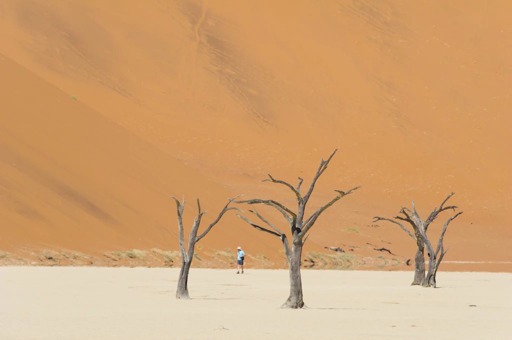 12 of the best things to do in Namibia - Lonely Planet