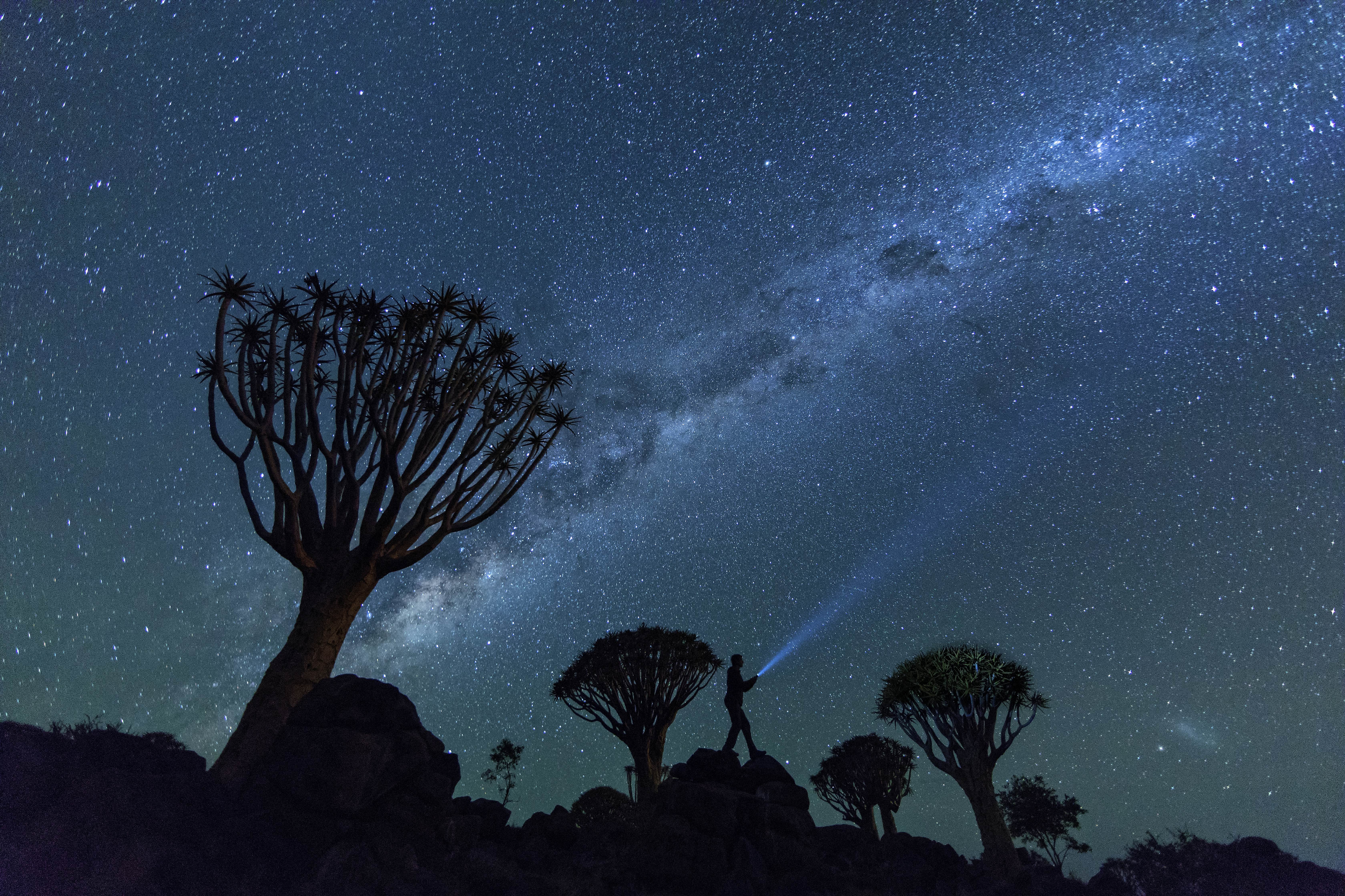 Best time to visit Namibia - Lonely Planet