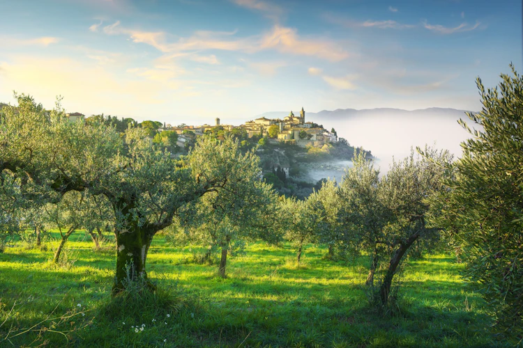 Umbria’s strong, earthy flavors reflect the region’s culture - Lonely ...