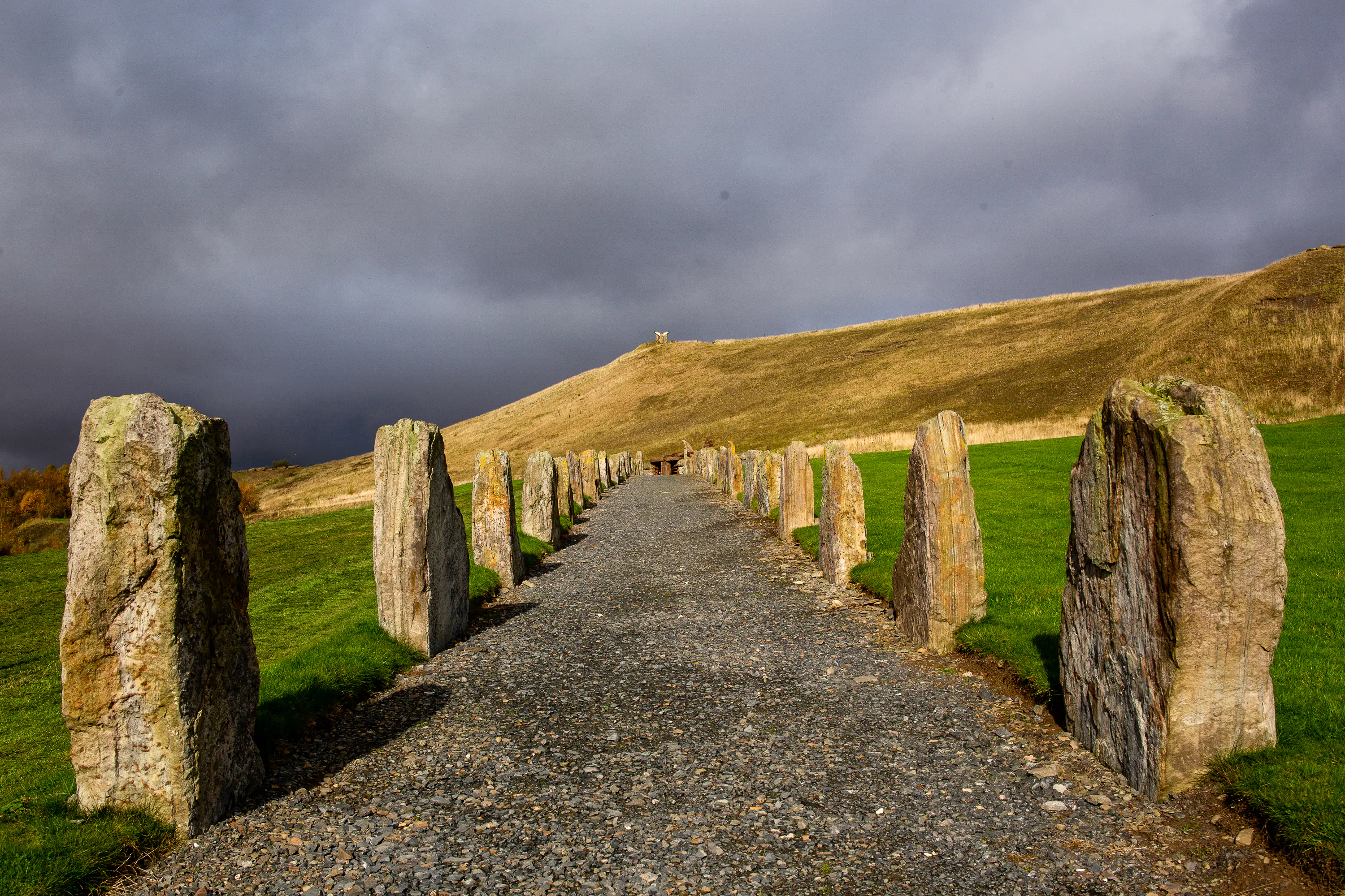 The best neighborhoods in Belfast - Lonely Planet