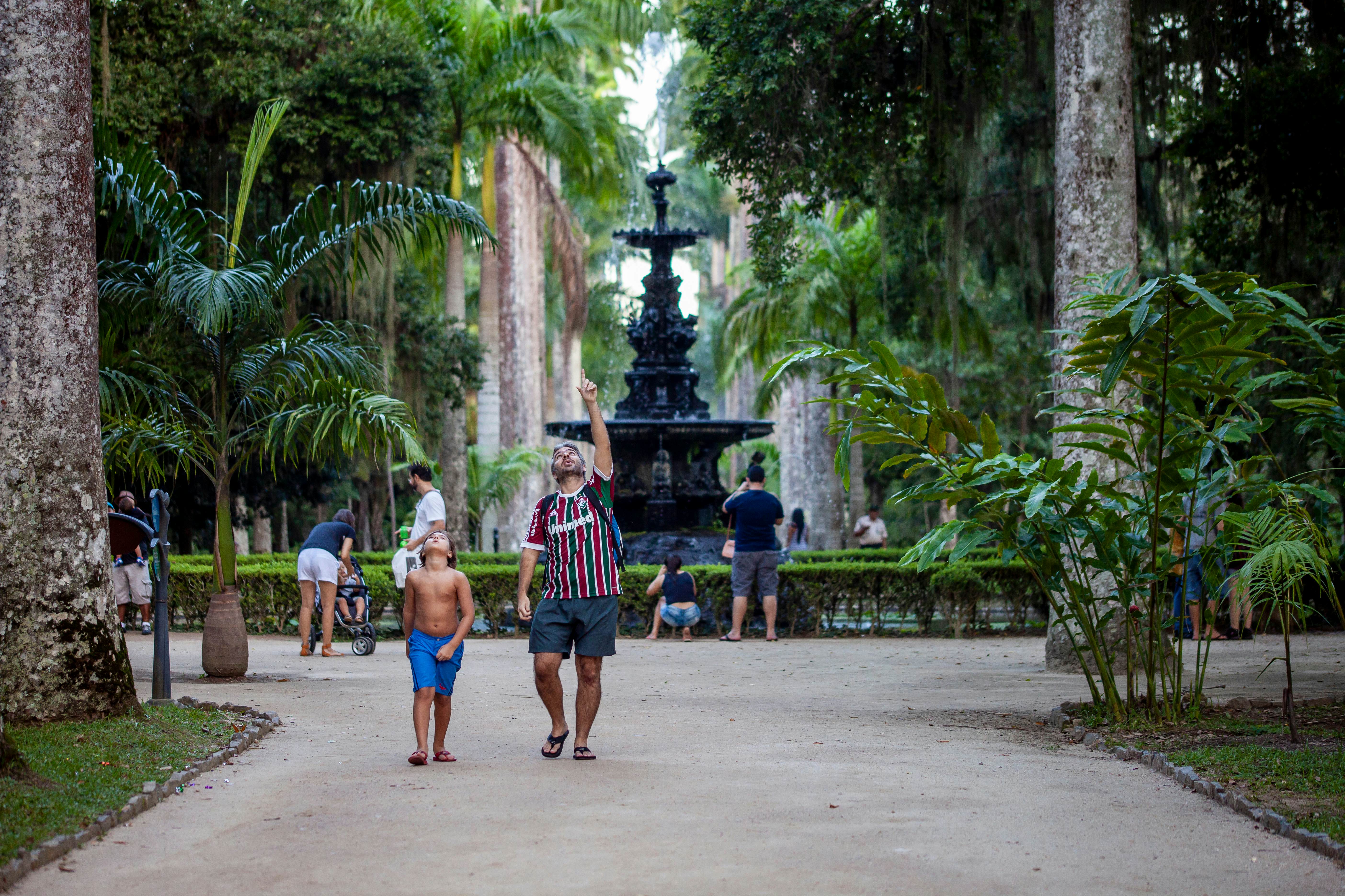 Top things to do in Rio de Janeiro with kids - Lonely Planet
