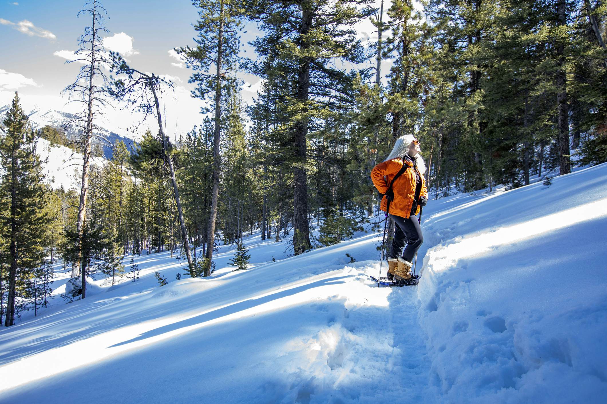 Best things to do in Grand Teton National Park - Lonely Planet