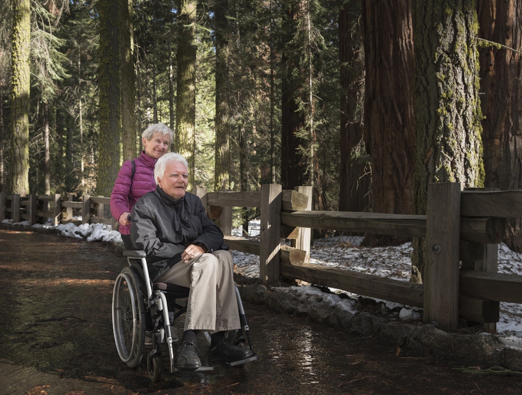 The 6 best national parks for persons with disabilities - Lonely Planet