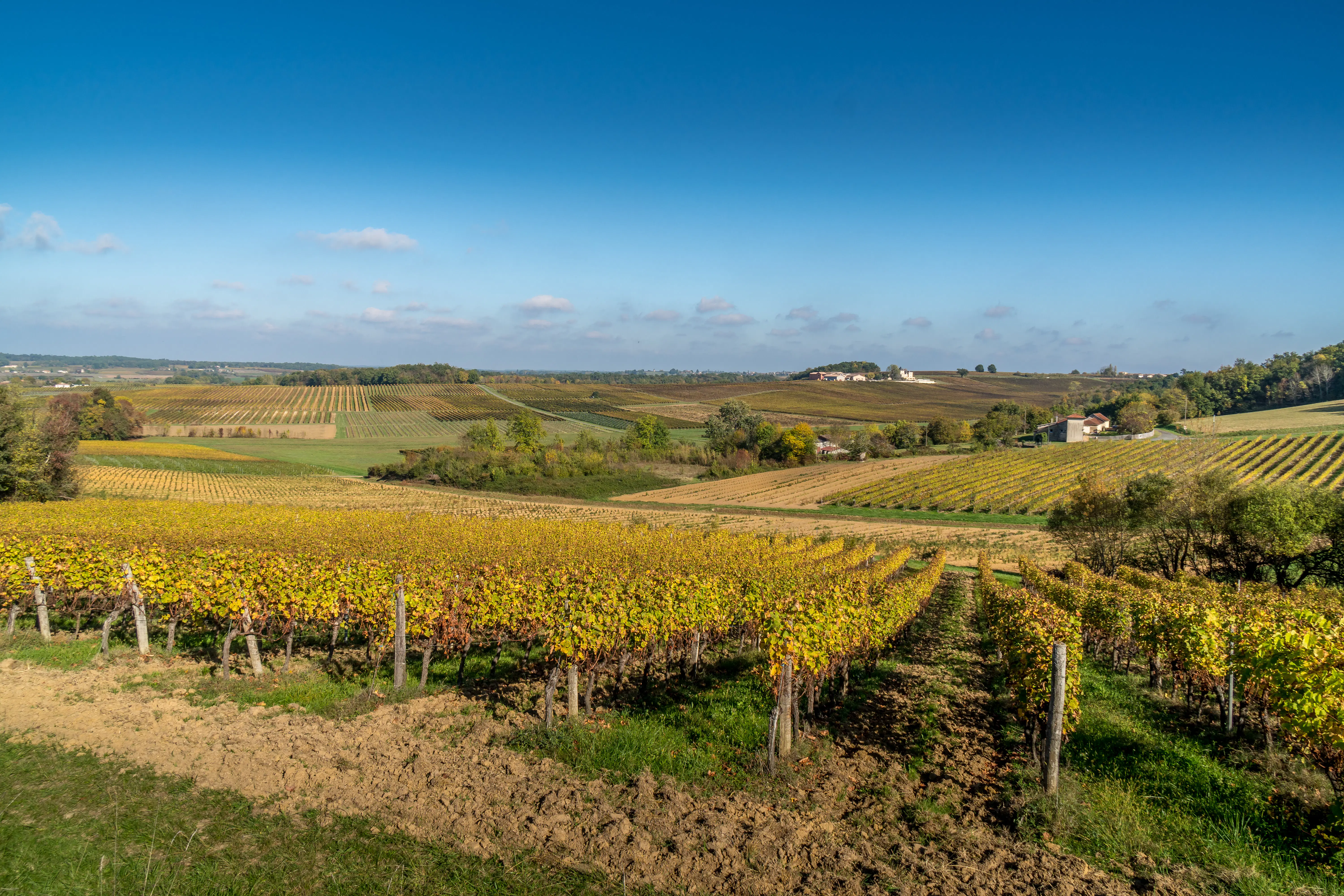 The best time to visit Bordeaux, France - Lonely Planet