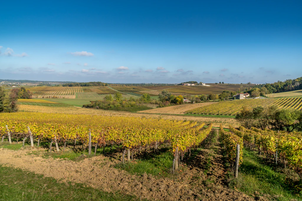 The best times to visit Bordeaux, France - Lonely Planet