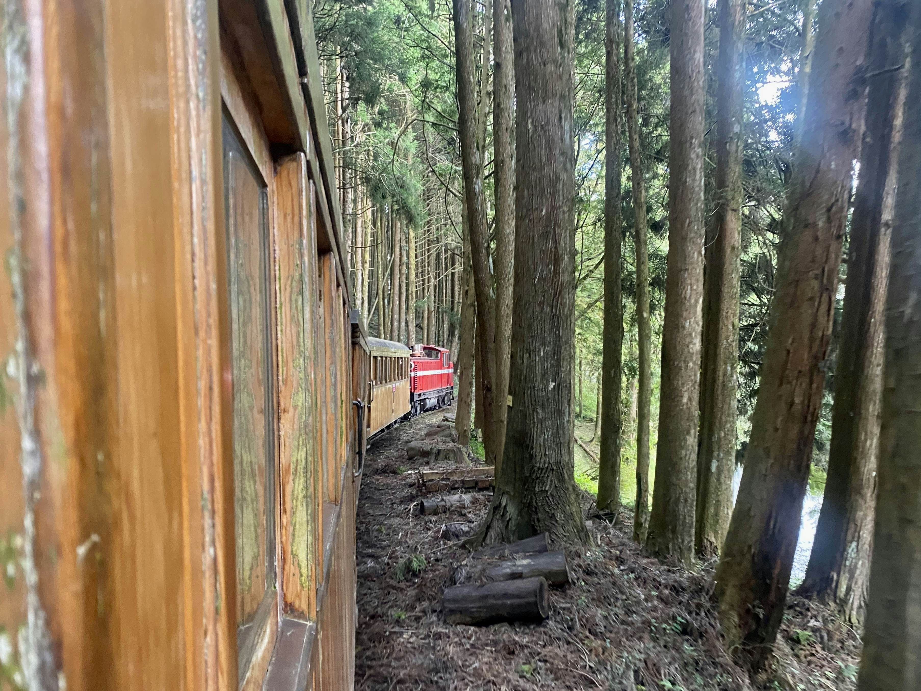 Riding Taiwan’s Alishan Forest Railway - Lonely Planet
