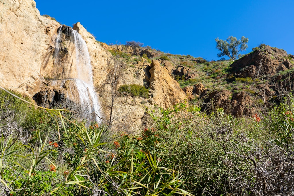 The 8 best hikes in Los Angeles - Lonely Planet