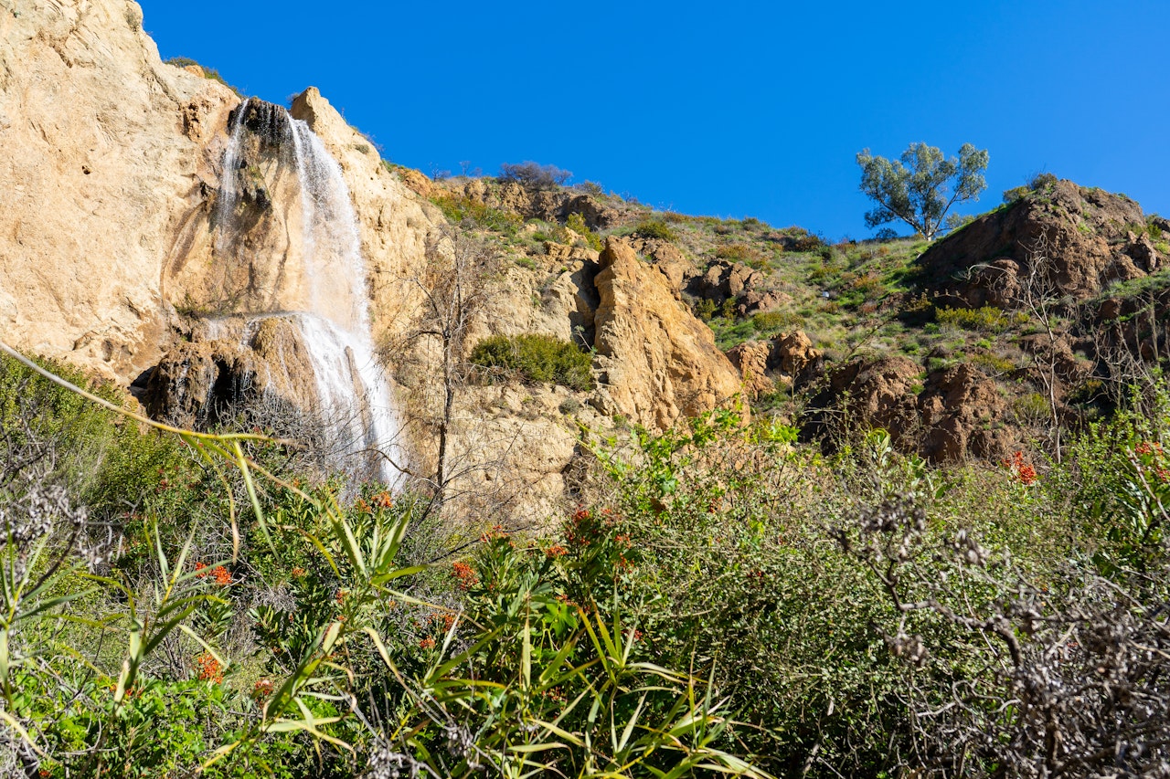 The 8 best hikes in Los Angeles - Lonely Planet