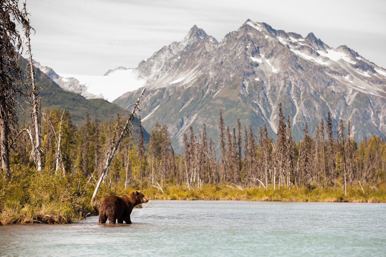 Earth, water and sky: Exploring Alaska’s five regions - Lonely Planet