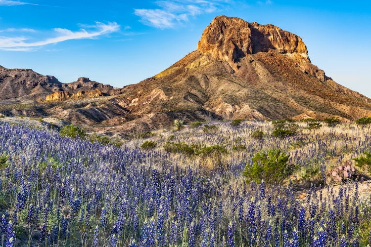 11 top spring break destinations for 2024 - Lonely Planet