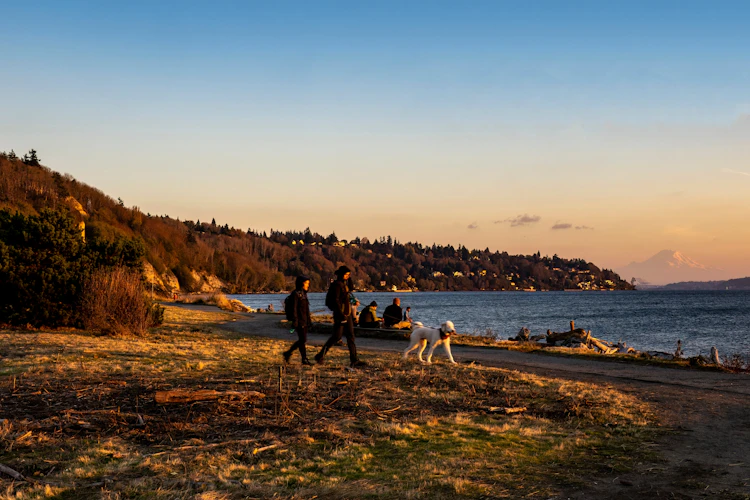 12 of the best beaches in Seattle - Lonely Planet