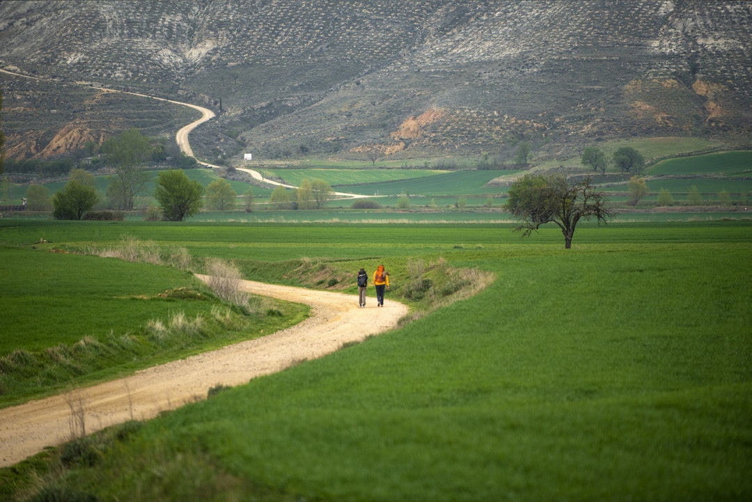 Camino de Santiago: how to choose a route - Lonely Planet