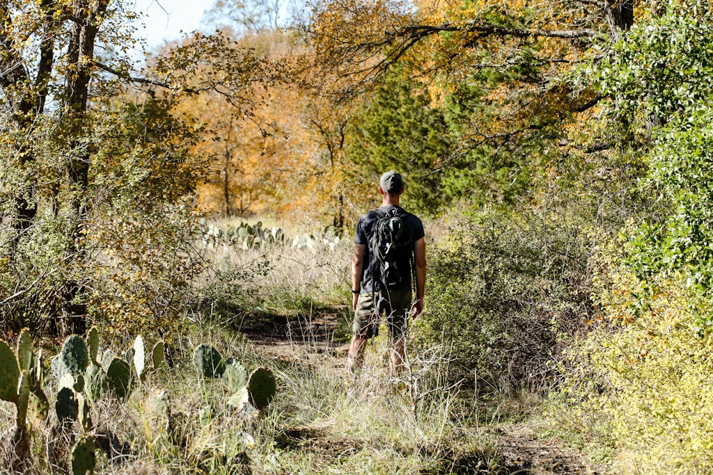 Guide to the Texas Hill Country - Lonely Planet