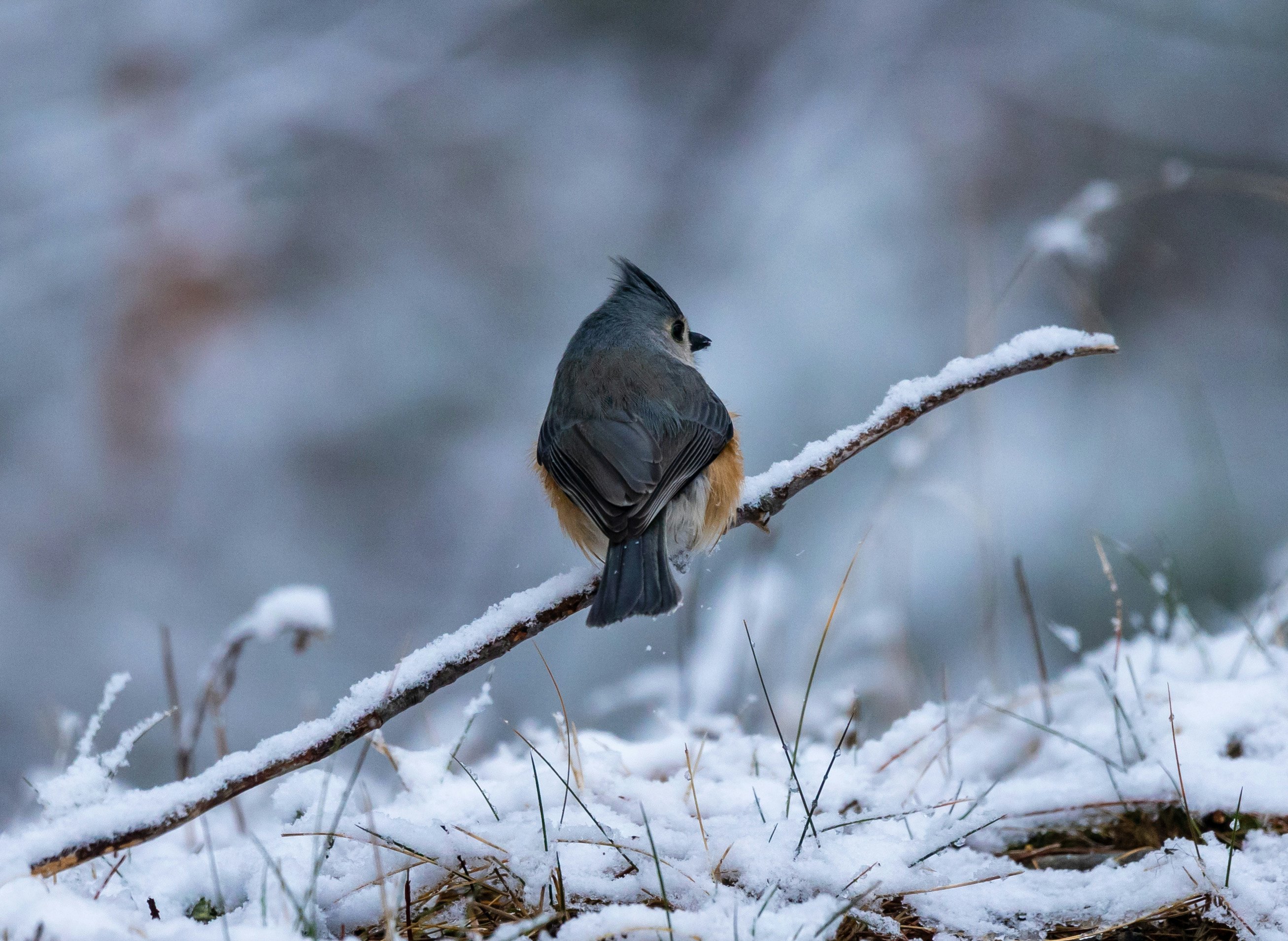 Boston in Winter: 24 reasons to visit each neighborhood - Lonely Planet