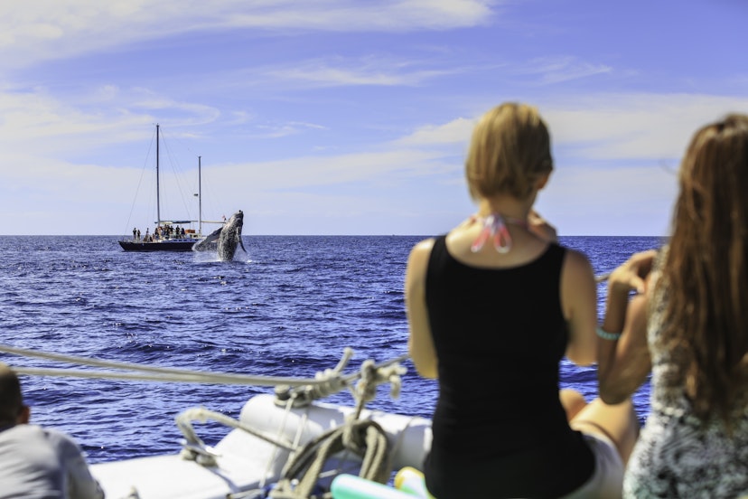 11 top spring break destinations for 2024 - Lonely Planet