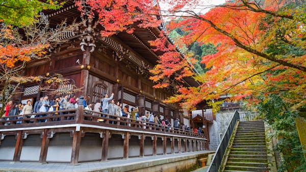 5 itineraries to see the best of Japan - Lonely Planet