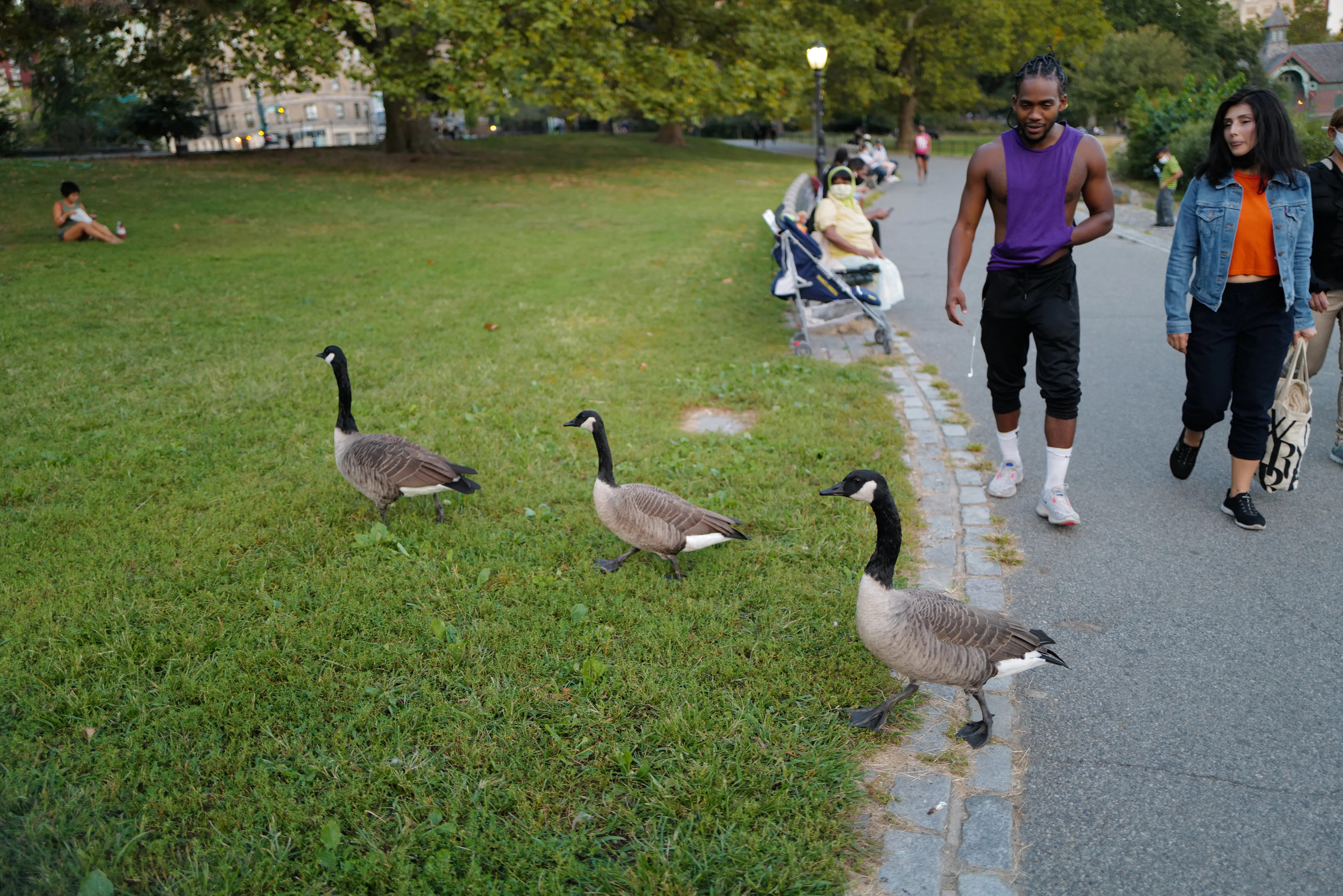 I Live Here: Marcus Samuelsson on NYC’s Harlem - Lonely Planet