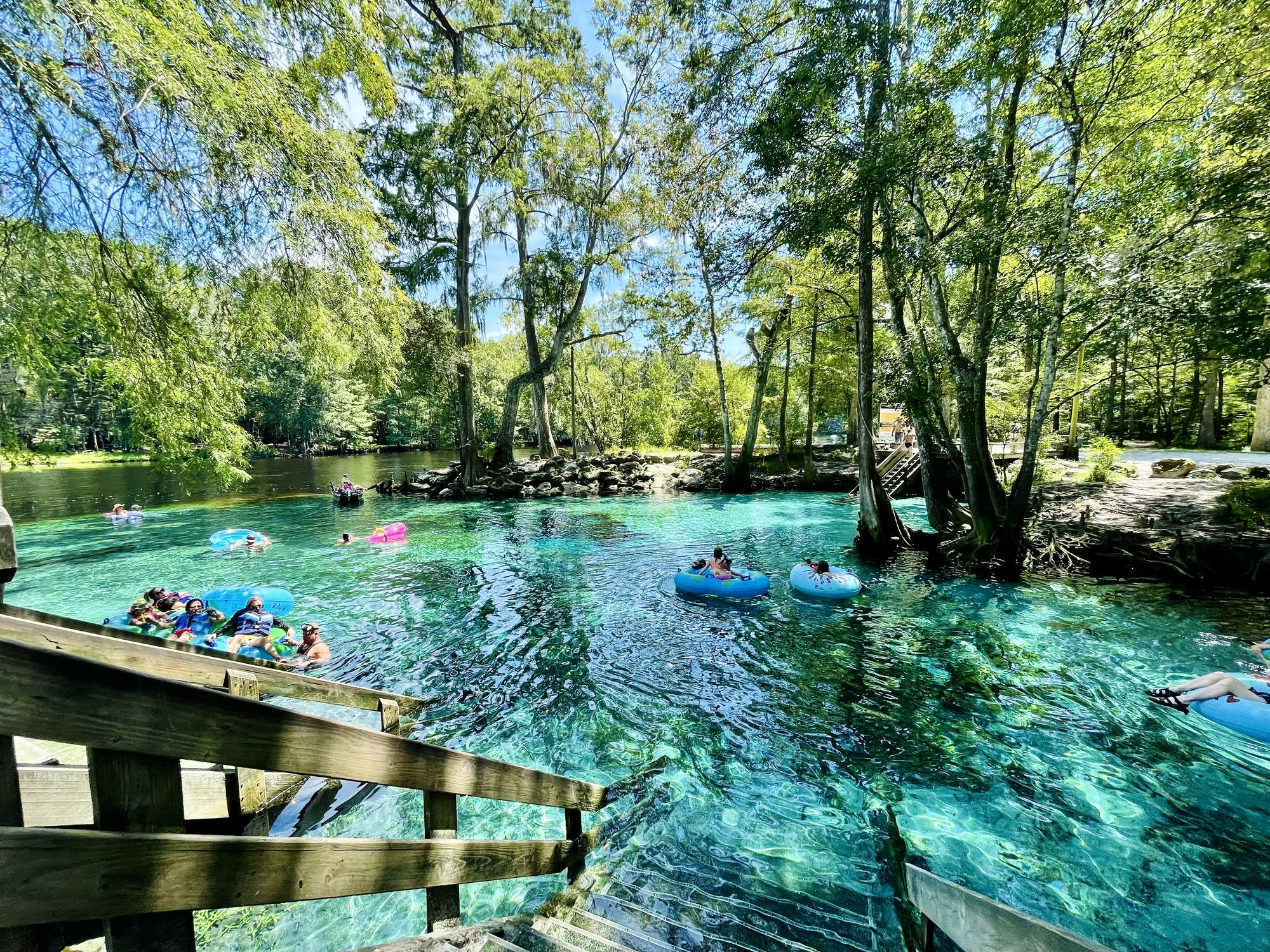 13 of the best things to do in Florida - Lonely Planet